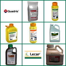 groenservice Hooghe bvba : fyto- en groenjobpartner | tuincentrum ...